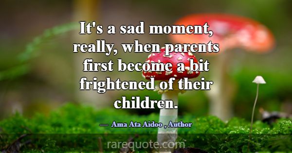 Ama Ata Aidoo Quotes