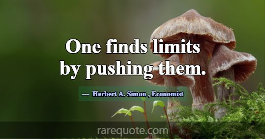 Herbert A. Simon Quotes