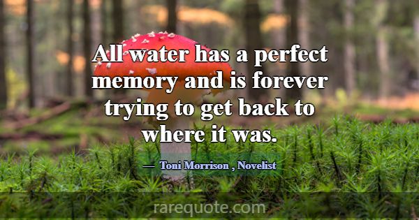 Toni Morrison Quotes