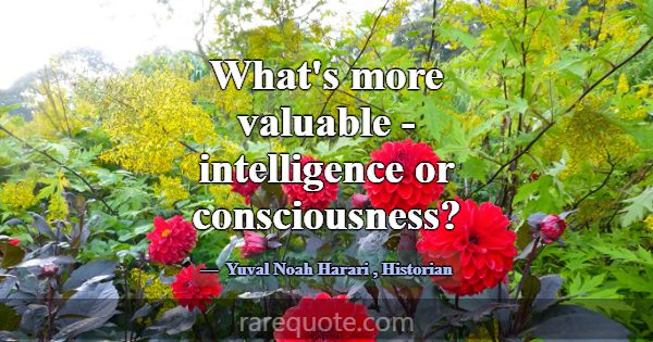 Yuval Noah Harari Quotes