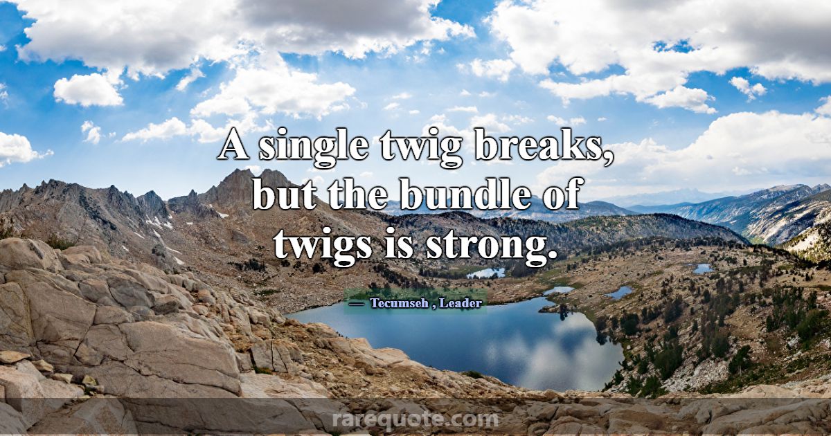 A single twig breaks, but the bundle of twigs is s... -Tecumseh