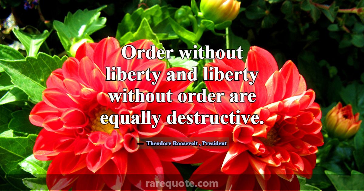 Order without liberty and liberty without order ar... -Theodore Roosevelt